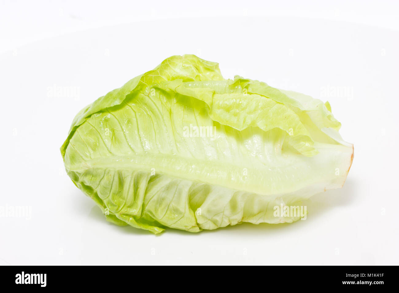 Baby Cos lettuce isolated on white Stock Photo - Alamy