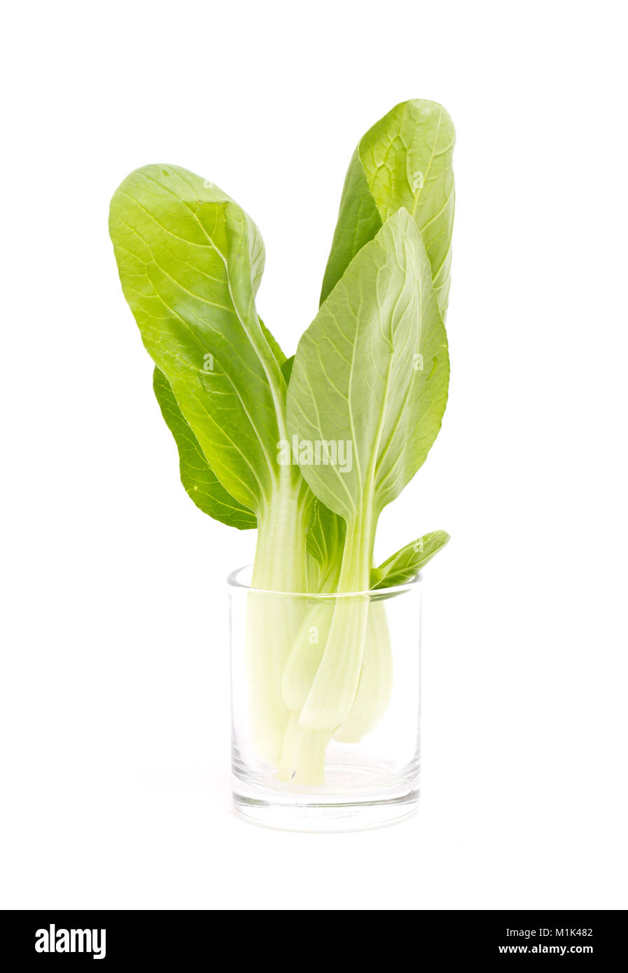 Bokchoi and cooking Cut Out Stock Images & Pictures - Alamy