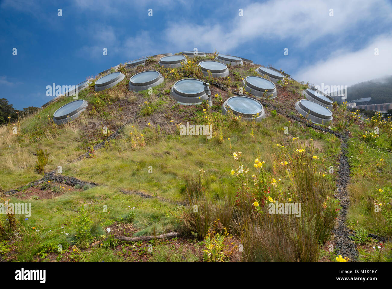 California academy of sciences roof hi-res stock photography and images ...