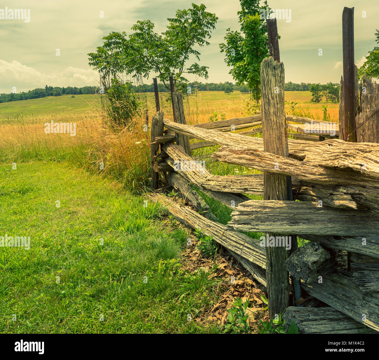 Big meadows shenandoah national park hi-res stock photography and ...