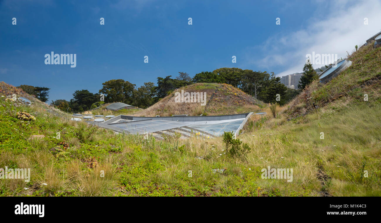 Interior view of the California Academy of Sciences Museum, Golden Gate ...