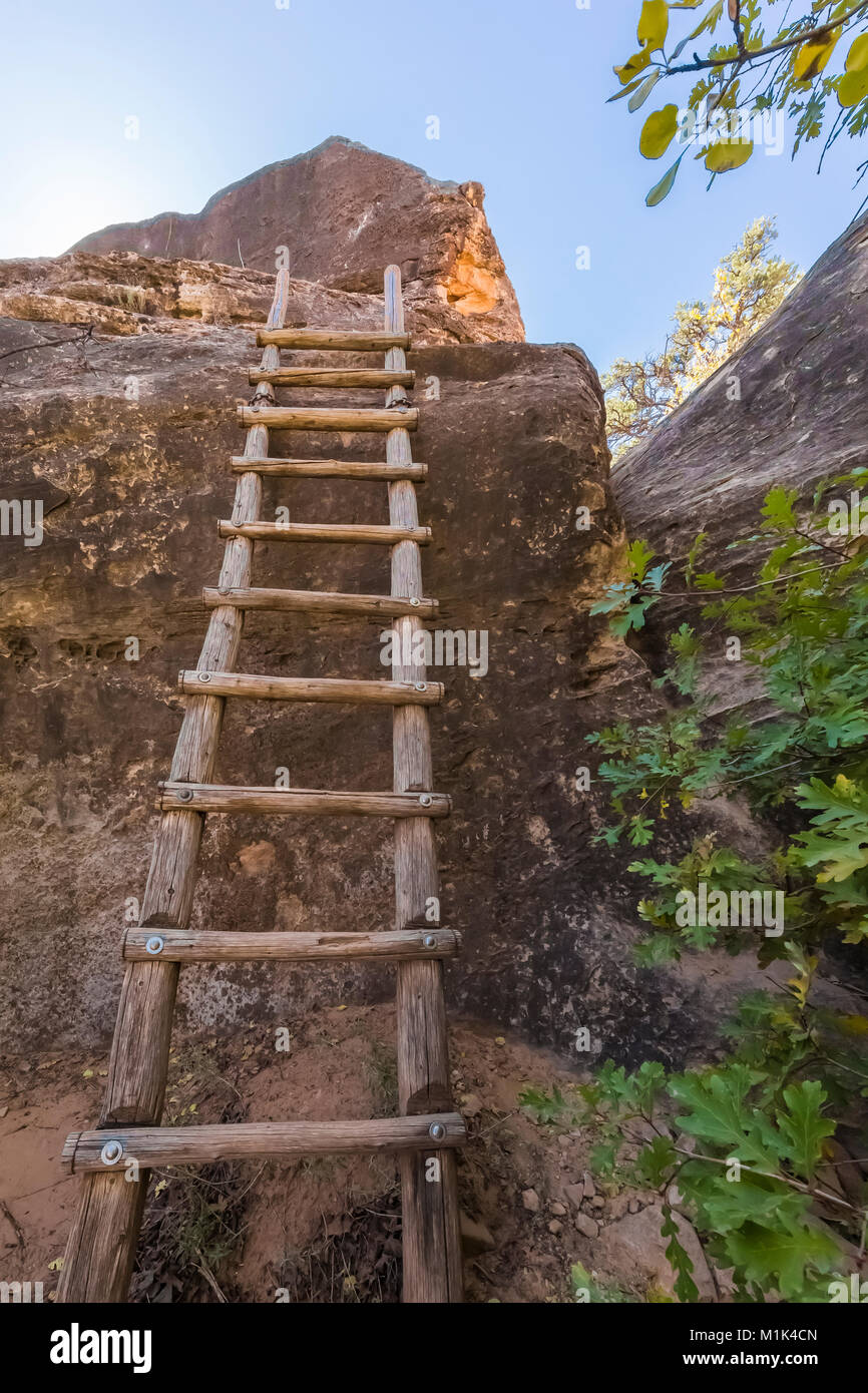 Wooden ladder, part of the Cave Spring Trail in The Needles District of ...