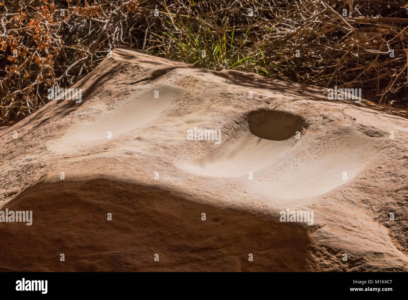 Metate used for grinding corn at Cave Spring by Ancestral Puebloan ...