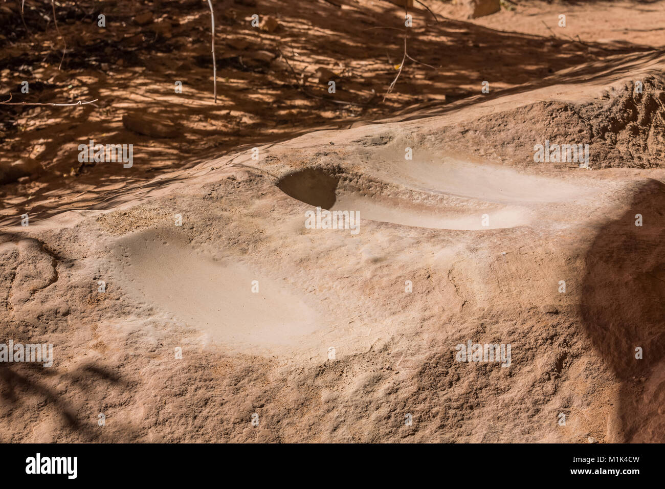 Metate used for grinding corn at Cave Spring by Ancestral Puebloan ...