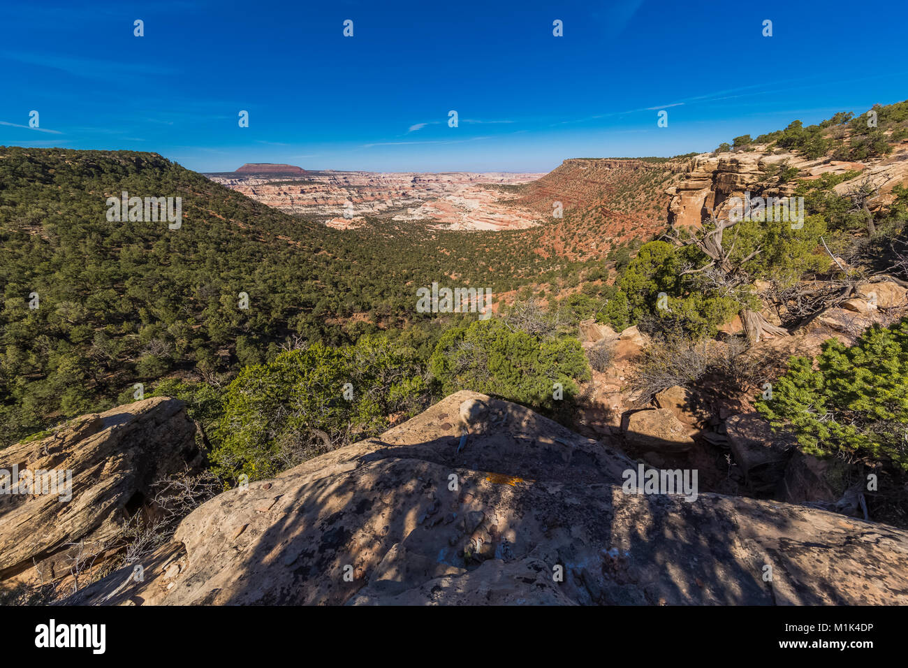 Overlook of rugged route down into the Salt Creek Canyon from the ...
