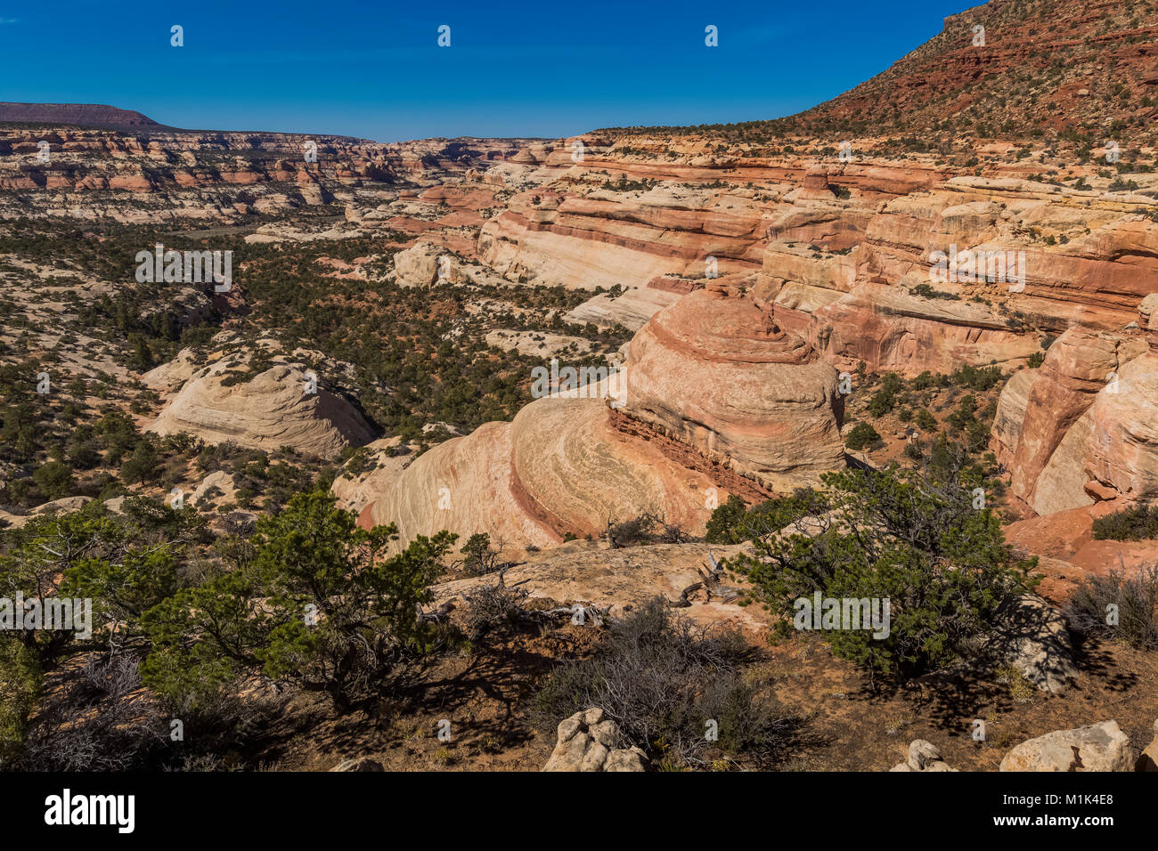 Rugged trail down into the Salt Creek Canyon from the Cathedral Butte ...