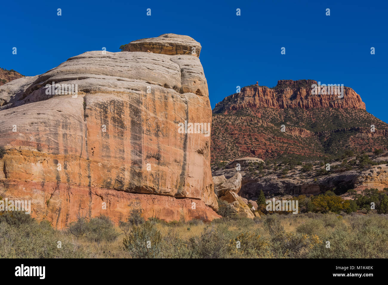 Slickrock Landscape in Salt Creek Canyon in The Needles District of ...