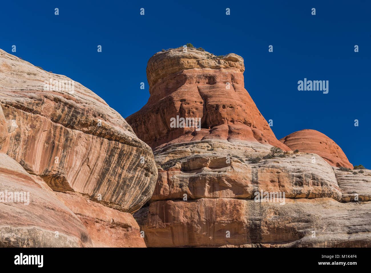 Slickrock Landscape in Salt Creek Canyon in The Needles District of ...