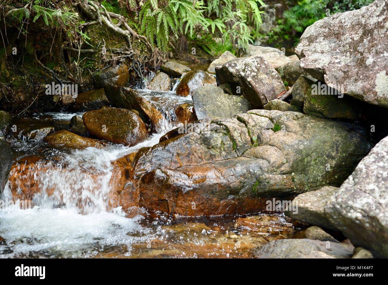 Cloudy creek waterfall and rapids, white water, flowing, rocks, cool ...