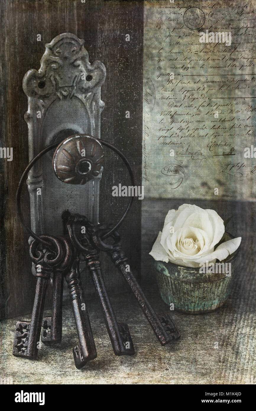 Floral Styling Photography Stock Photo - Alamy