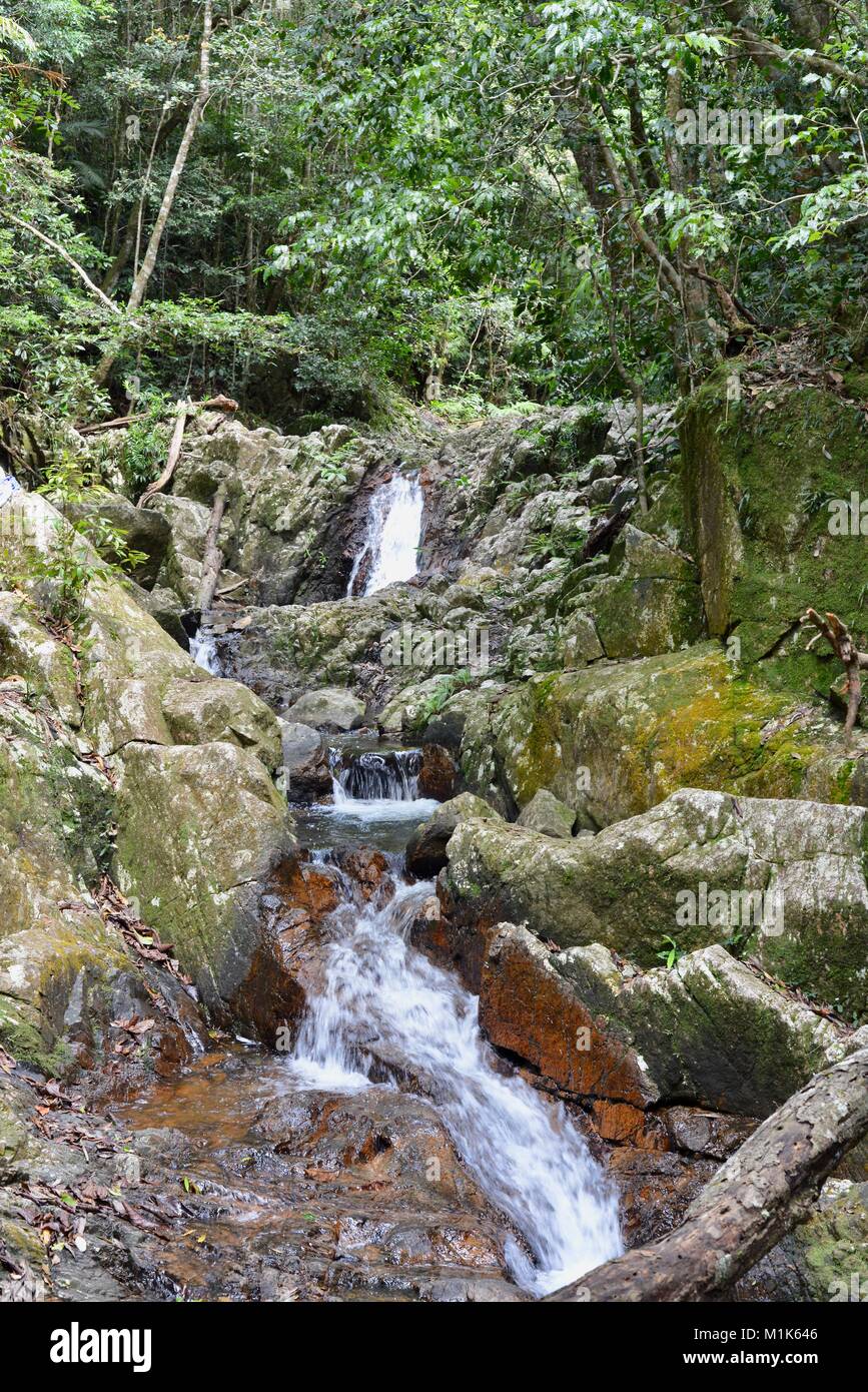 Cloudy creek waterfall and rapids, white water, flowing, rocks, cool ...