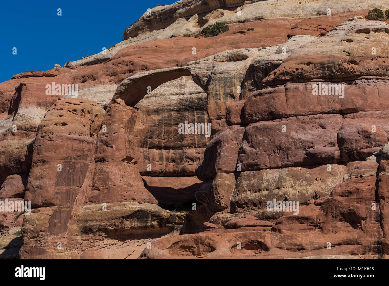 Wedding ring arch hi-res stock photography and images - Alamy