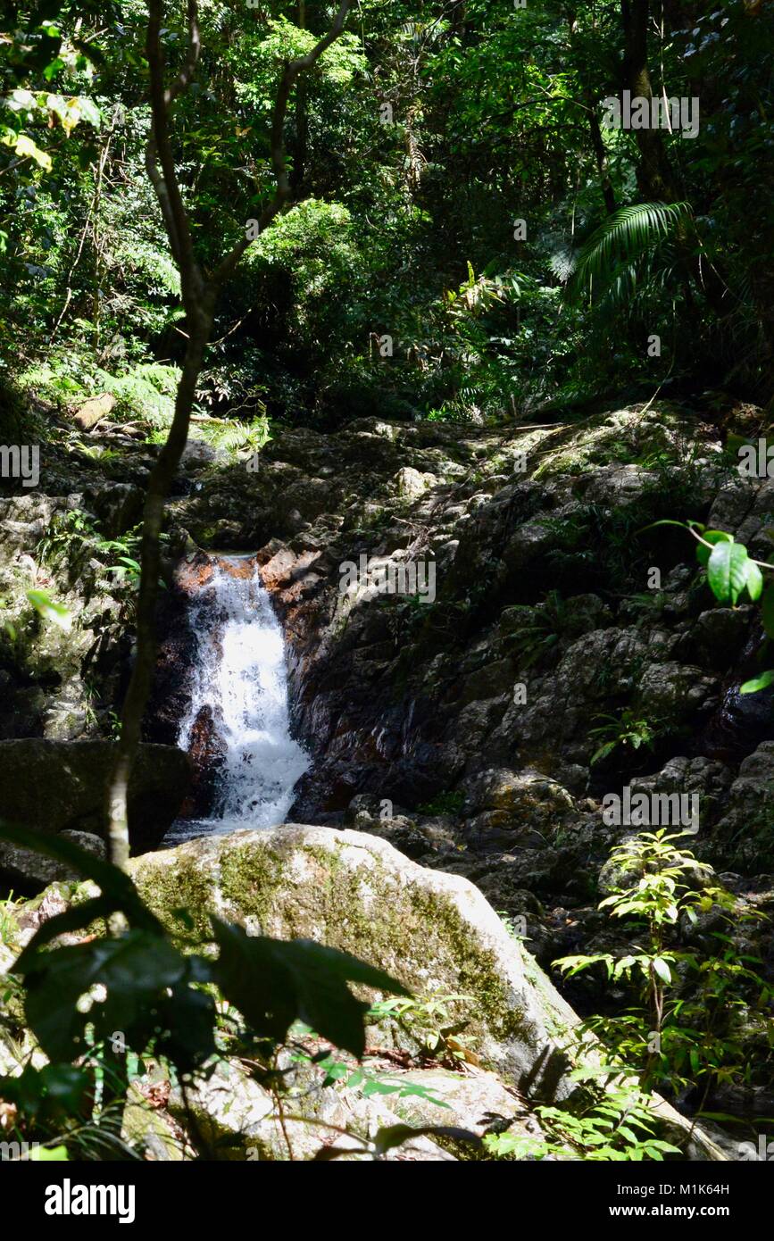 Cloudy creek waterfall and rapids, white water, flowing, rocks, cool ...