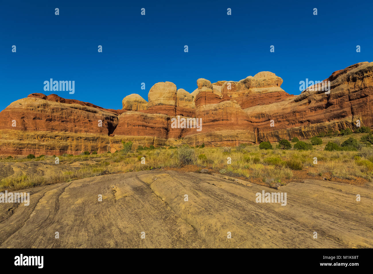 Sandstone formations within Salt Creek Canyon in The Needles District ...