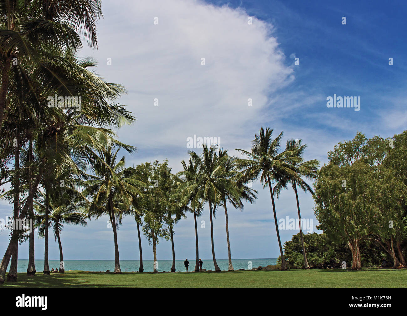 Rex Smeal Park, Port Douglas QLD Australia view Stock Photo - Alamy