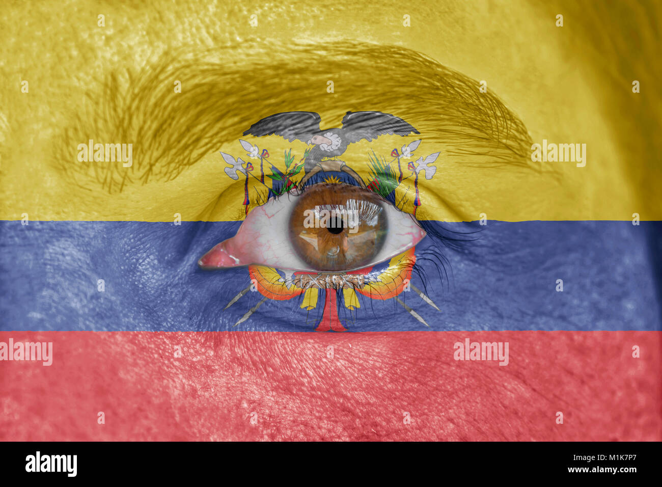 Human face and eye painted with flag of Ecuador Stock Photo - Alamy