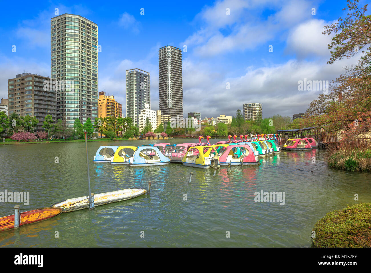 Shinobazu Pond in Ueno Park Stock Photo - Alamy