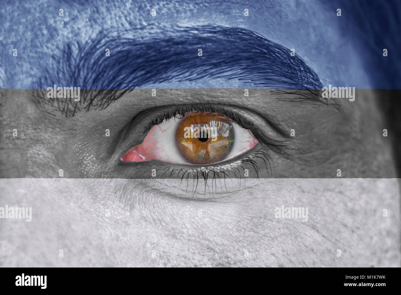 Human face and eye painted with flag of Estonia Stock Photo - Alamy