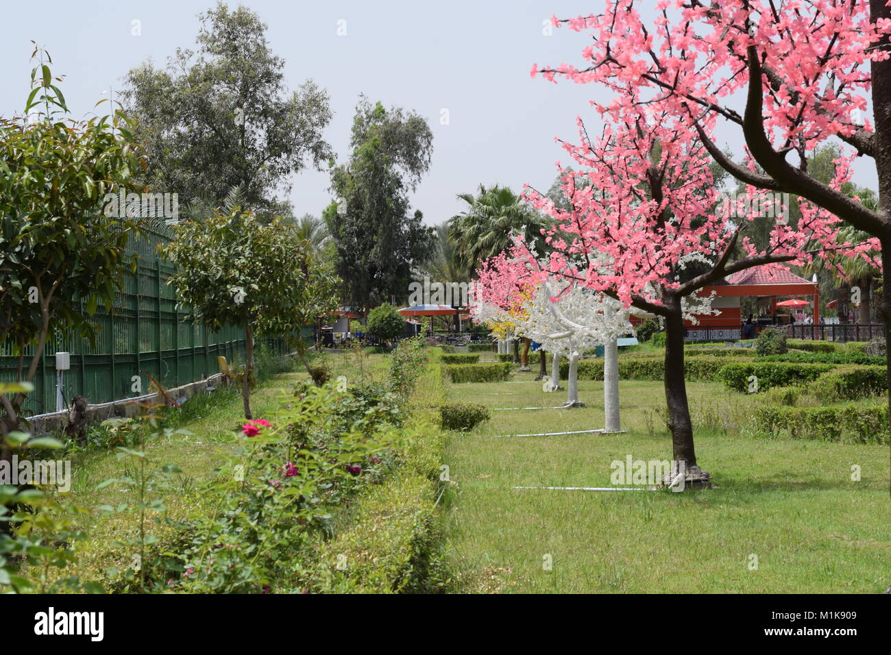 Shrubbery park hi-res stock photography and images - Alamy