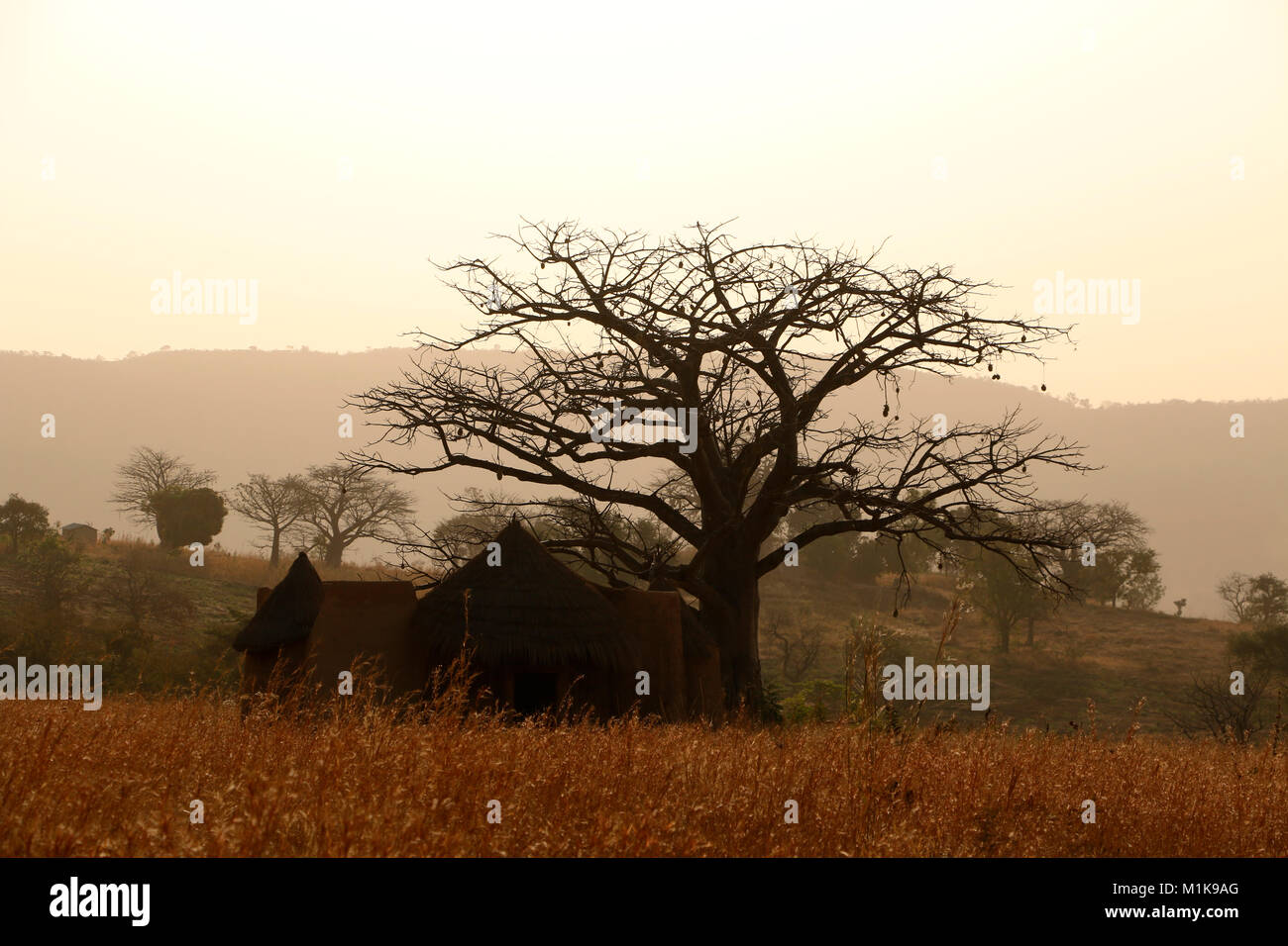 Beautiful environment in the north of Benin Stock Photo - Alamy