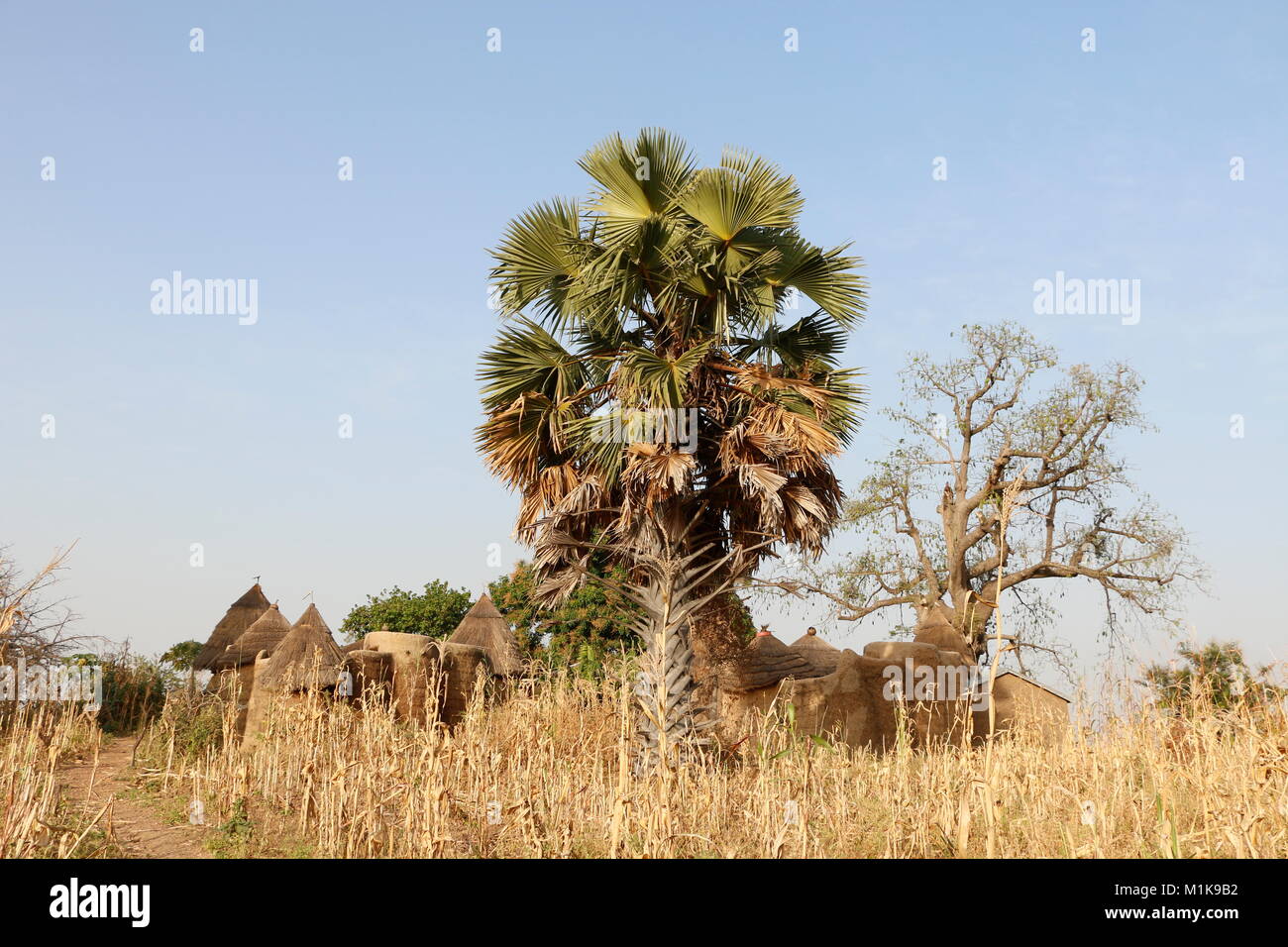 Beautiful environment in the north of Benin Stock Photo - Alamy