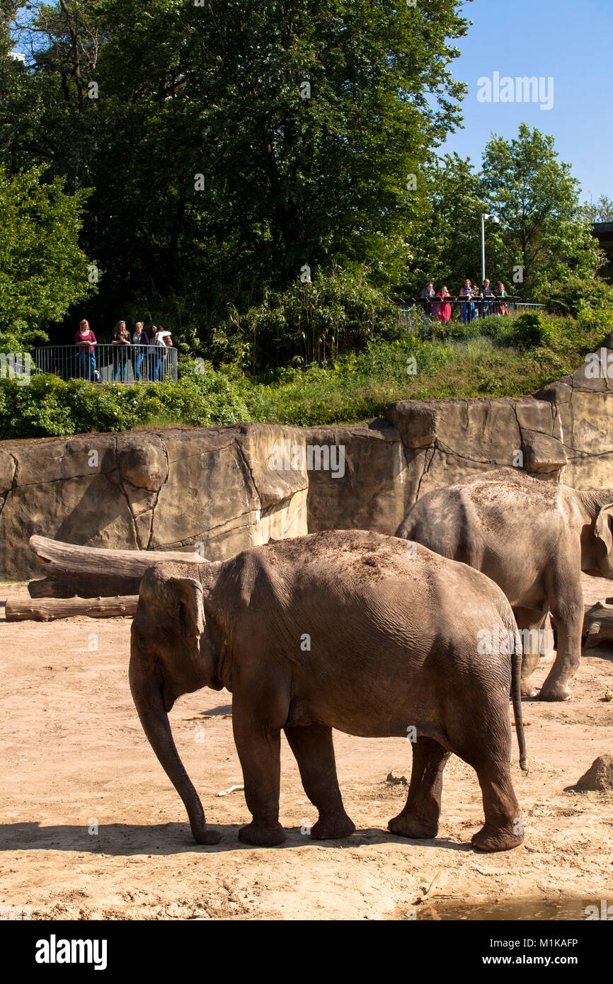 Zoo cologne hi-res stock photography and images - Alamy