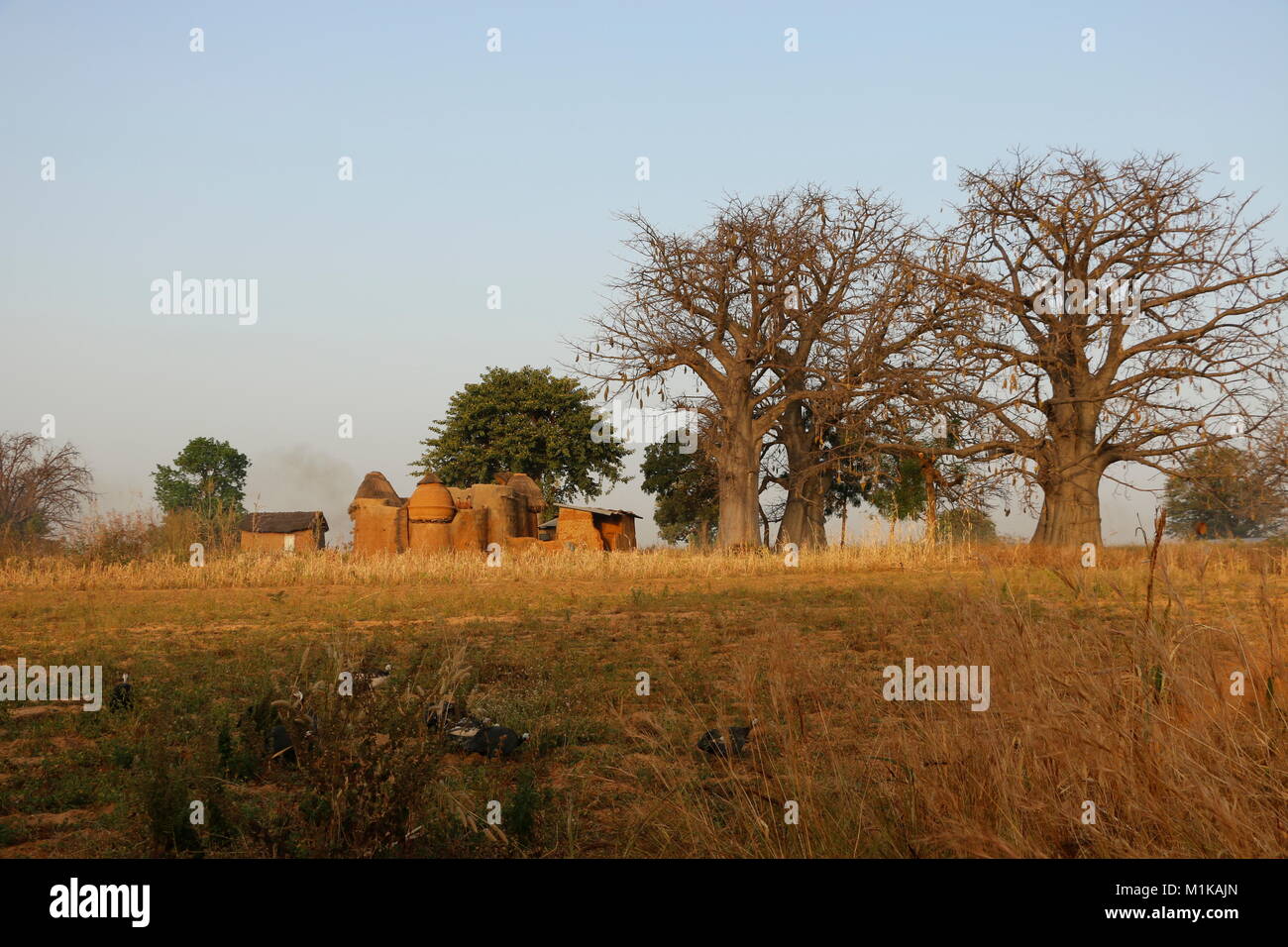 Traditional tata somba somba houses hi-res stock photography and images ...