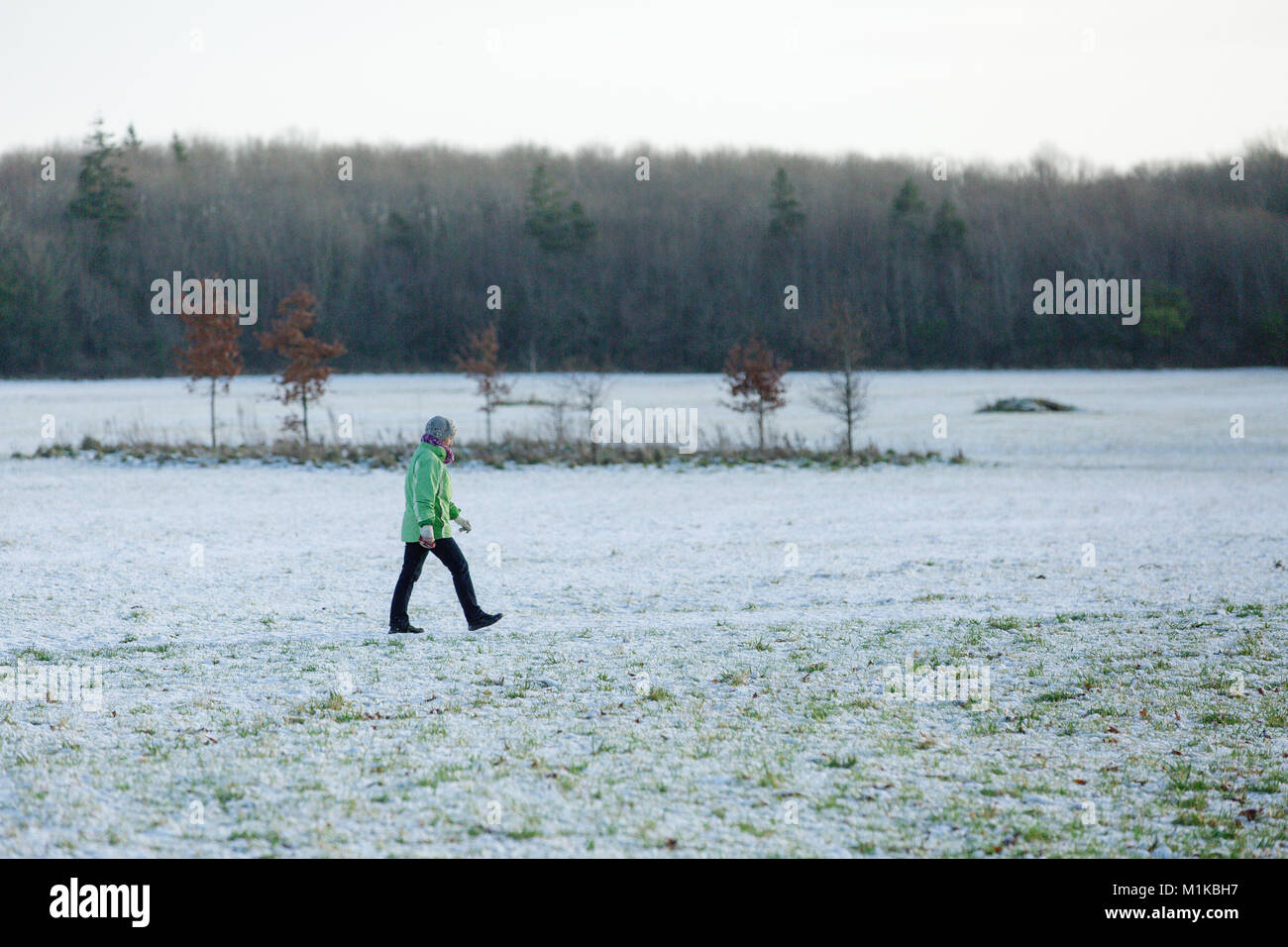Woman enjoying a morning walk through covered in snow Castletown fields ...