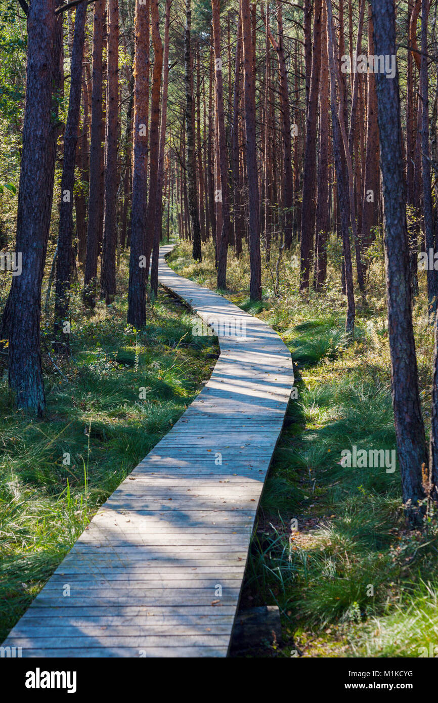 Poleski National Park in Poland. Lubelskie, Poland Stock Photo - Alamy