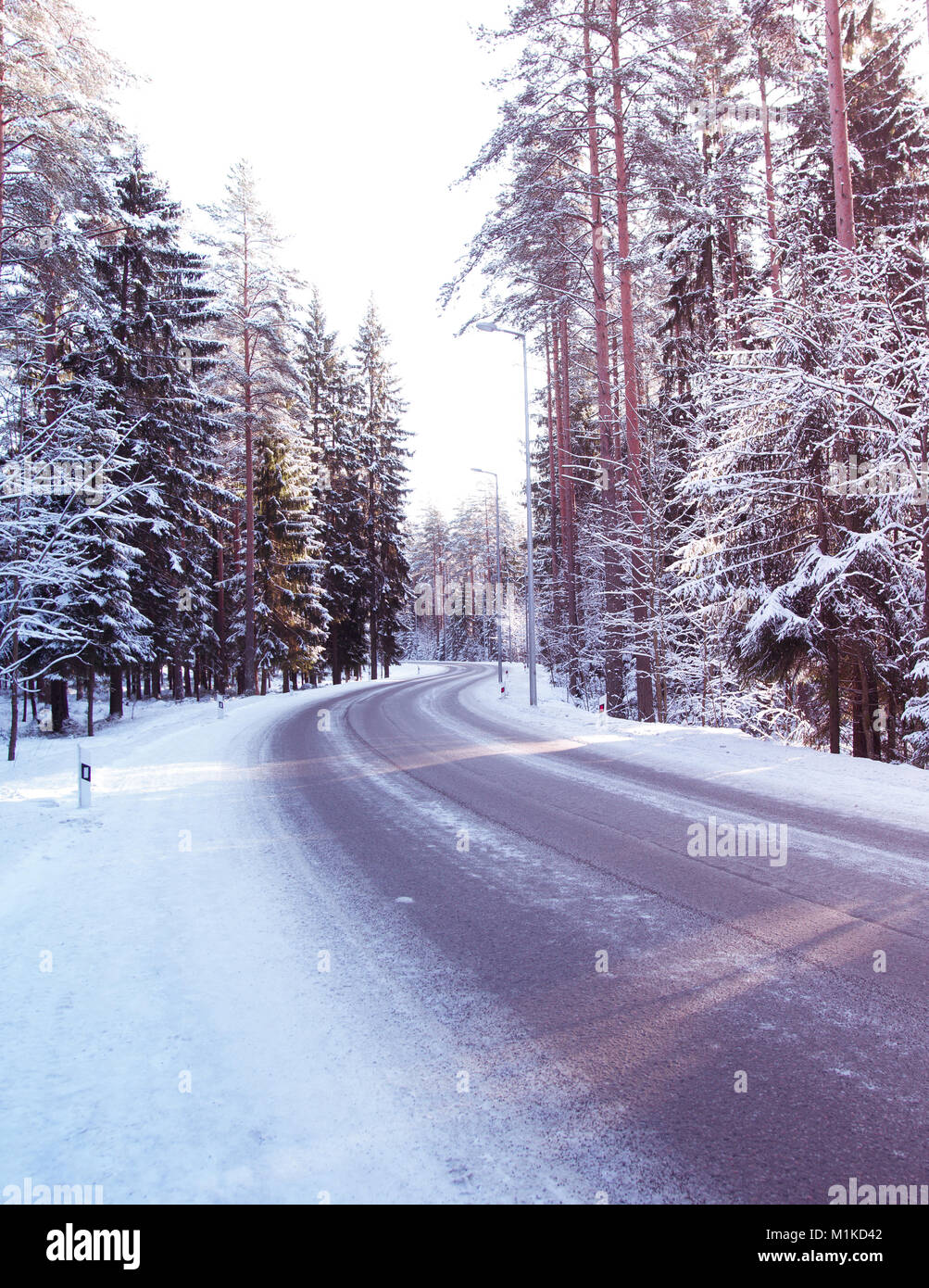 Road through snowy forest Stock Photo - Alamy