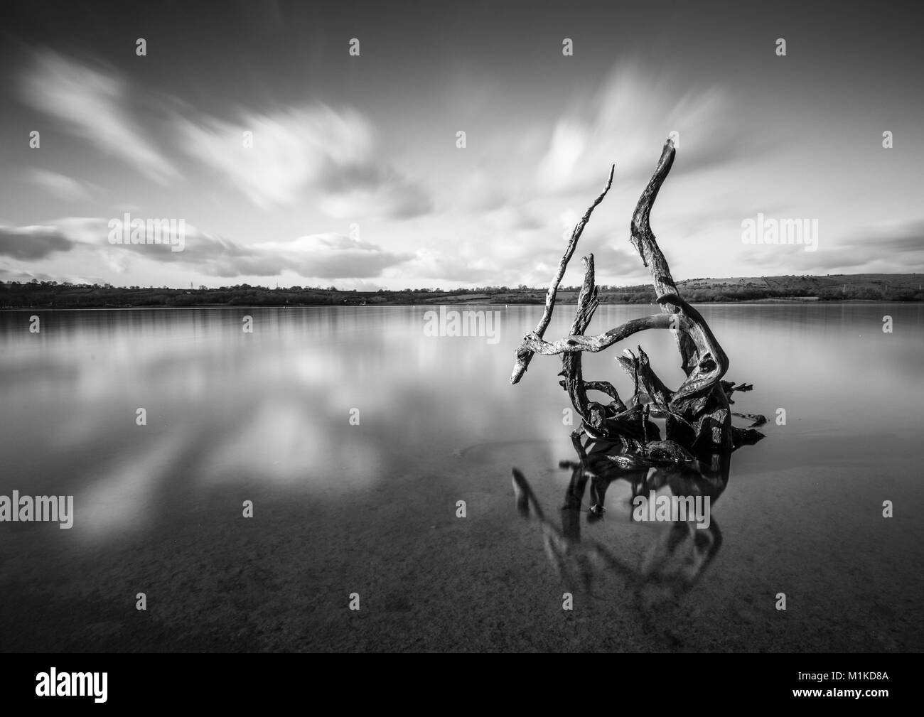 Wizard wand on white Black and White Stock Photos & Images - Alamy