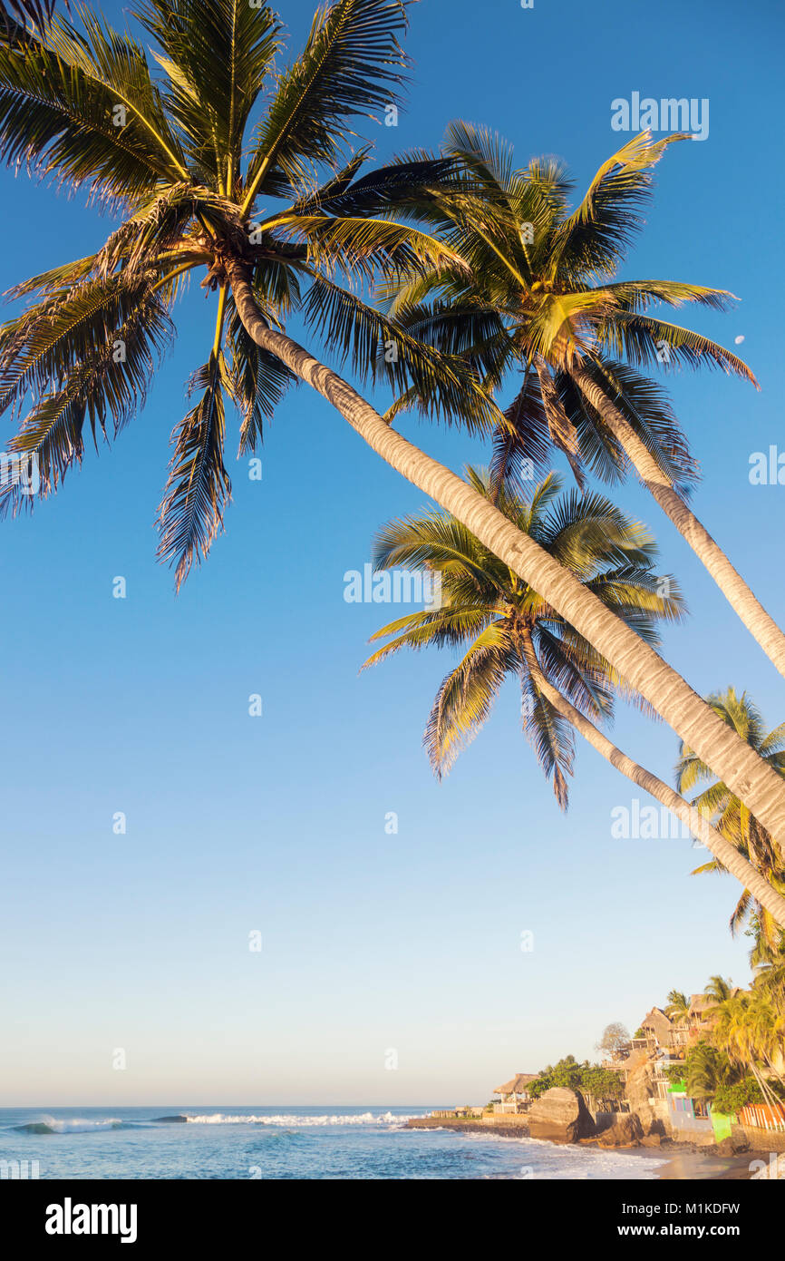 El Tunco Beach in Salvador. El Tunco, El Salvador Stock Photo - Alamy