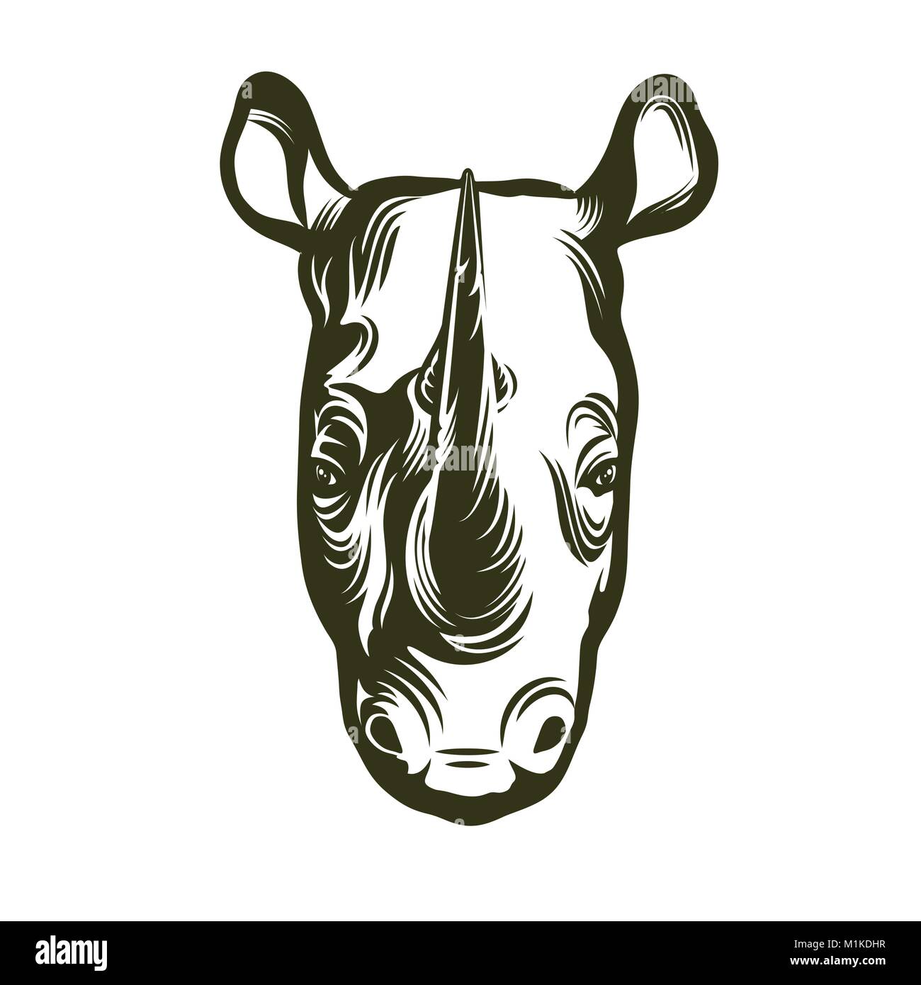 Rhino Head Drawing Front
