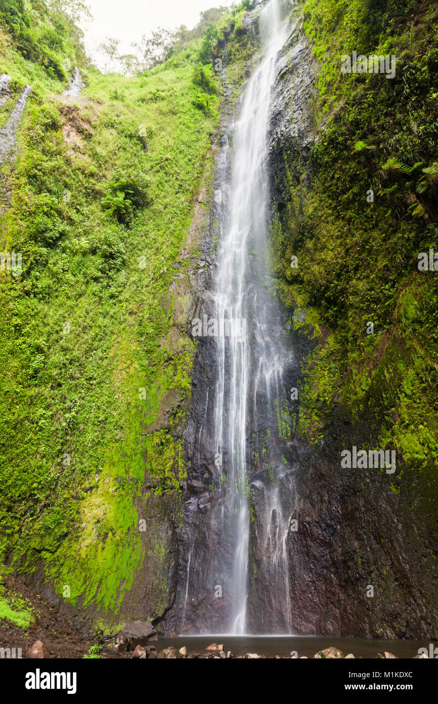 San Ramon Waterfalls on Ometepe Island. Managua, Nicaragua Stock Photo ...