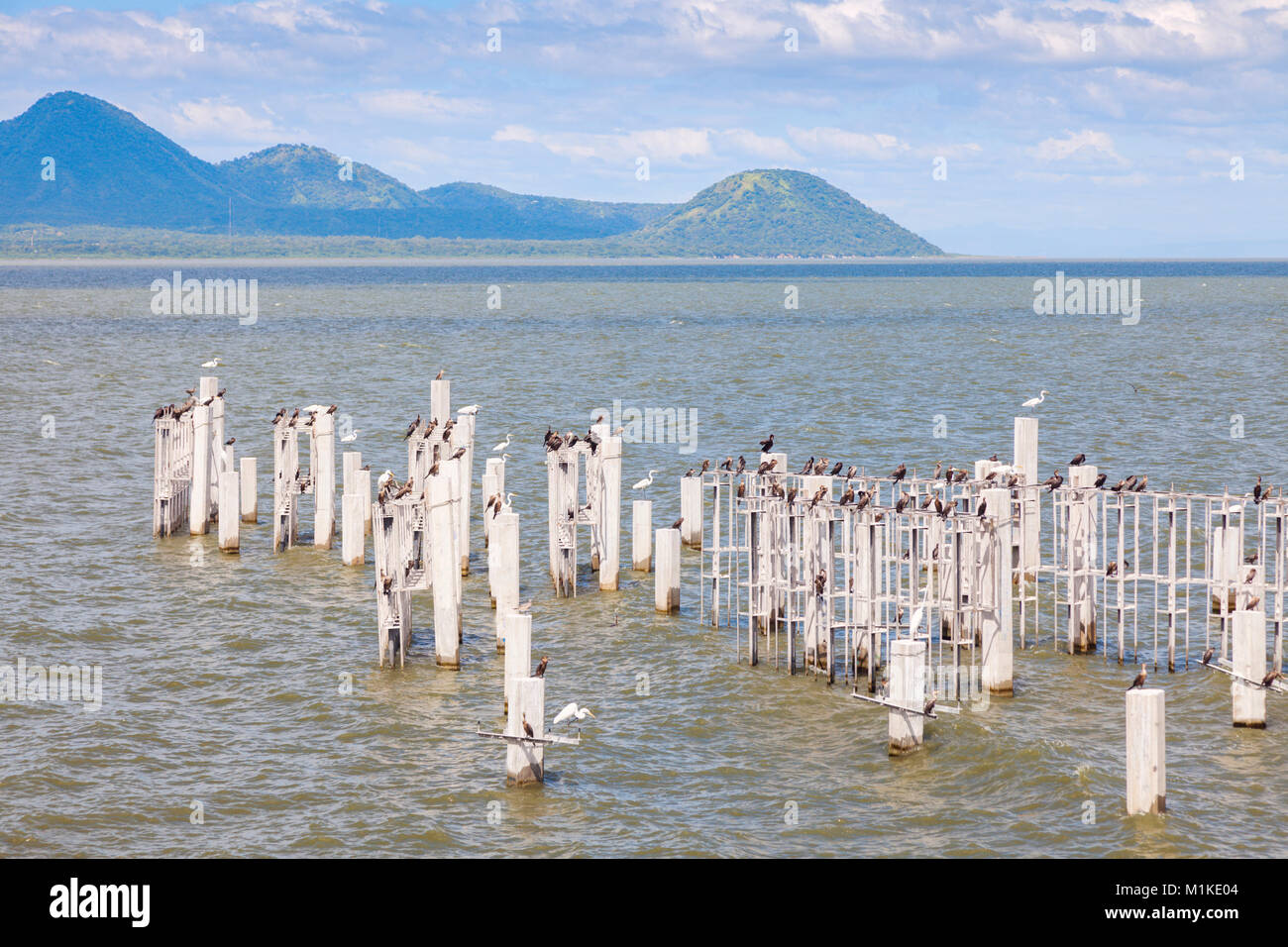 Lake Xolotlan in Managua. Managua, Nicaragua Stock Photo - Alamy