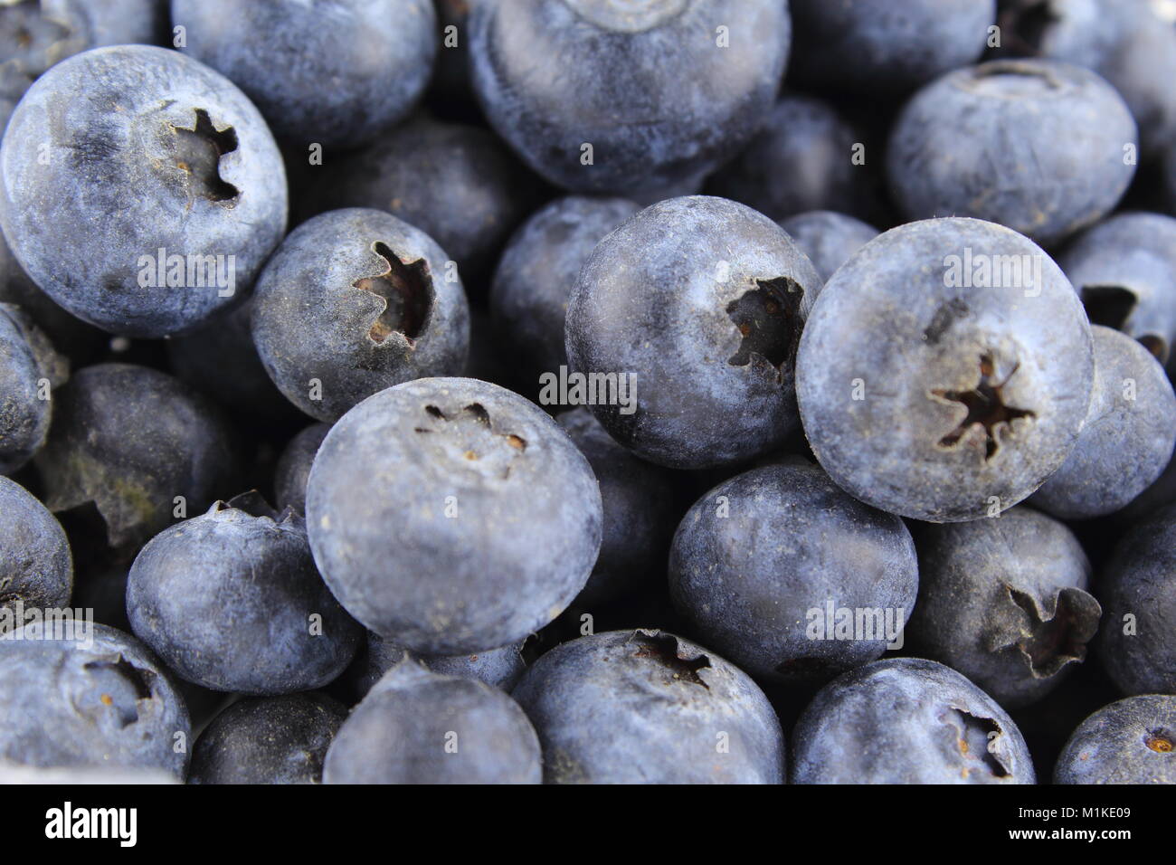 fresh blueberry fruits closeup as a food background texture Stock Photo ...
