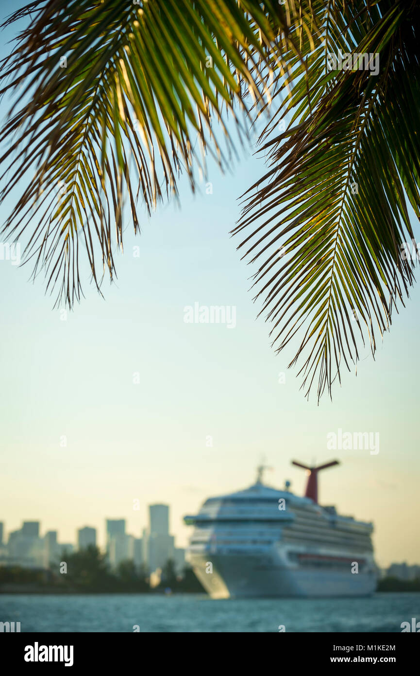 Cruise ship beach palm tree hi-res stock photography and images - Alamy