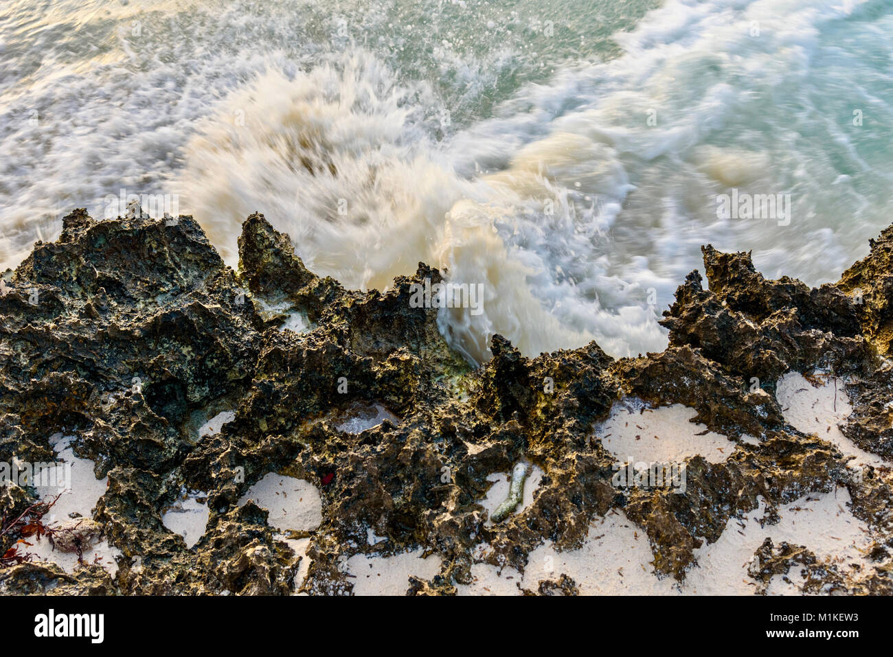 Rocks and crystal sea water in background at sunset. Caribbean ...