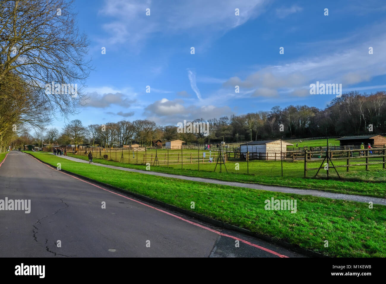 Hainault Country Park, Essex, England UK - December 26, 2017: View of ...