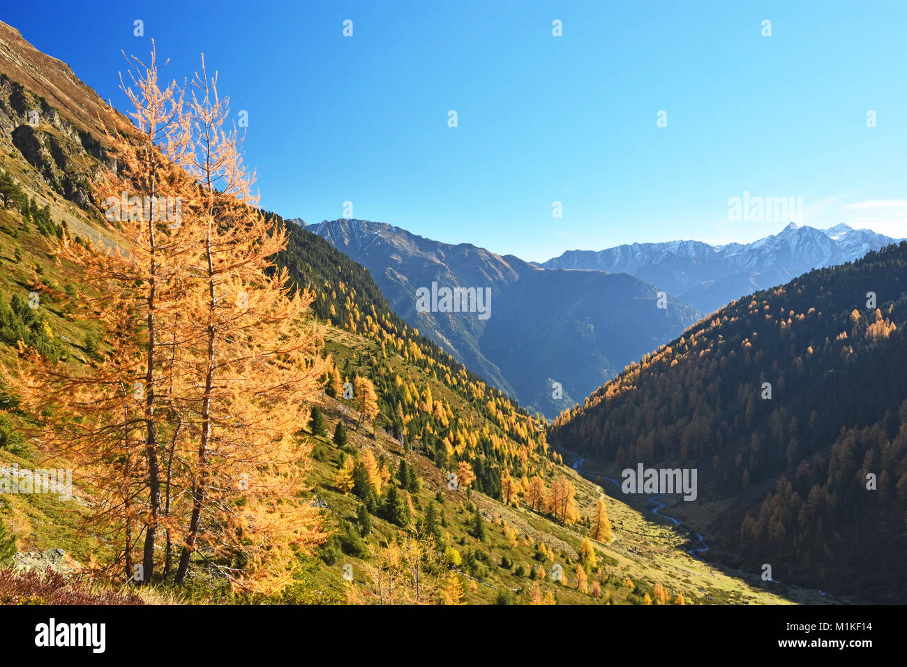 In the tyrolean alps hi-res stock photography and images - Alamy