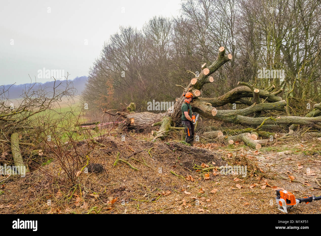 Hainault Forest, Essex, England, UK - January 9, 2018: cutting up and ...