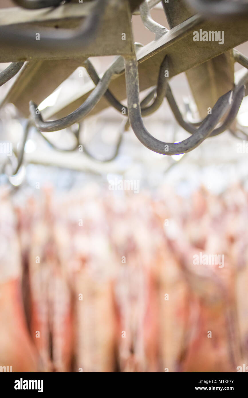 close up image of a meat hooks in a slaughterhouse with mutton ...