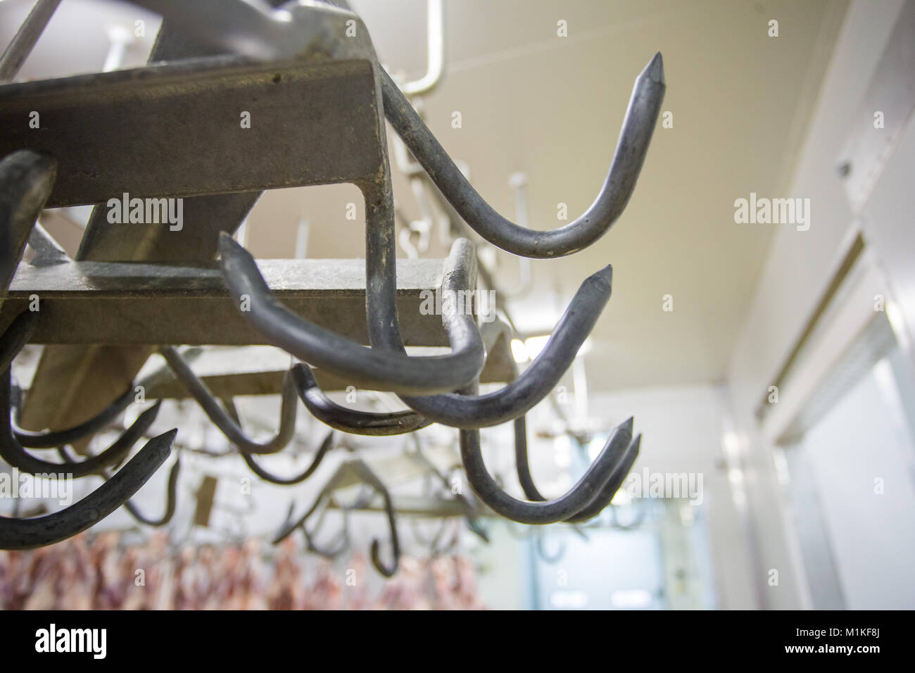 Hanged chilled beef hi-res stock photography and images - Alamy