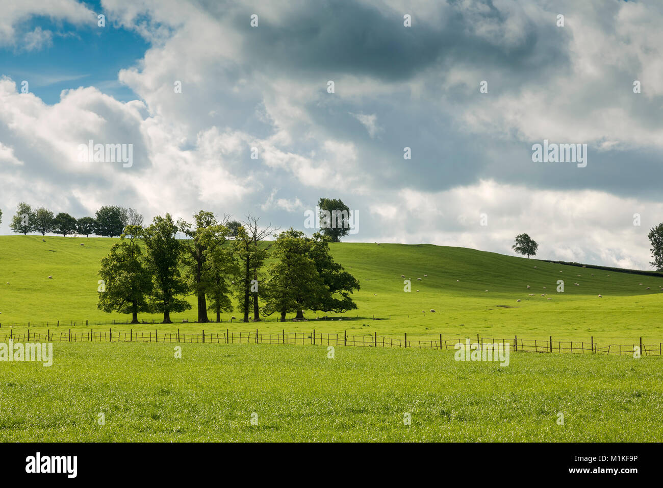 Lush green countryside hi-res stock photography and images - Alamy
