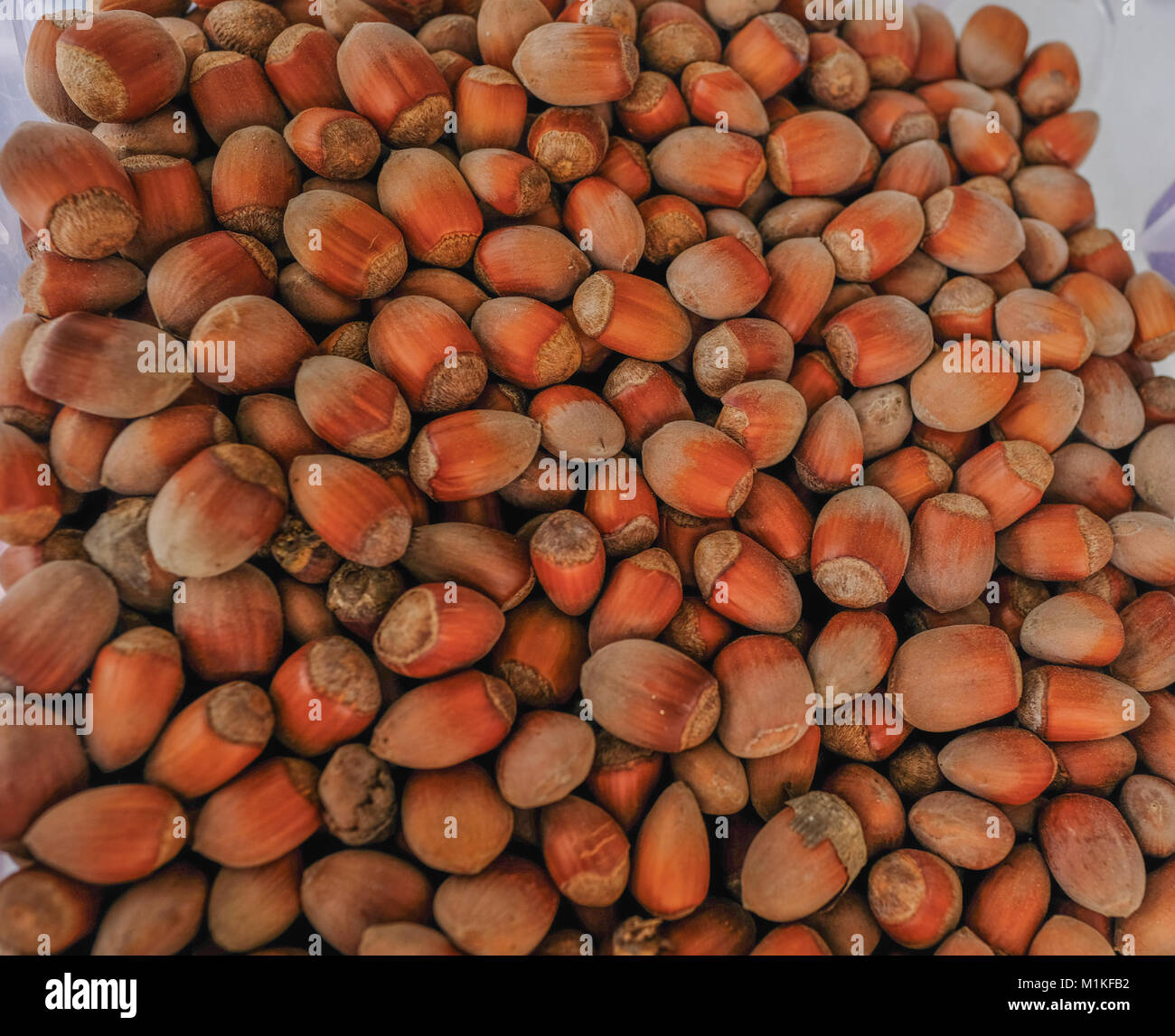 Selection of hazelnuts on display in their shells, natural and organic ...