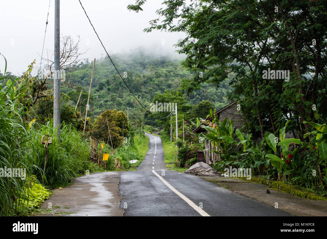 Bali road transportation hi-res stock photography and images - Alamy