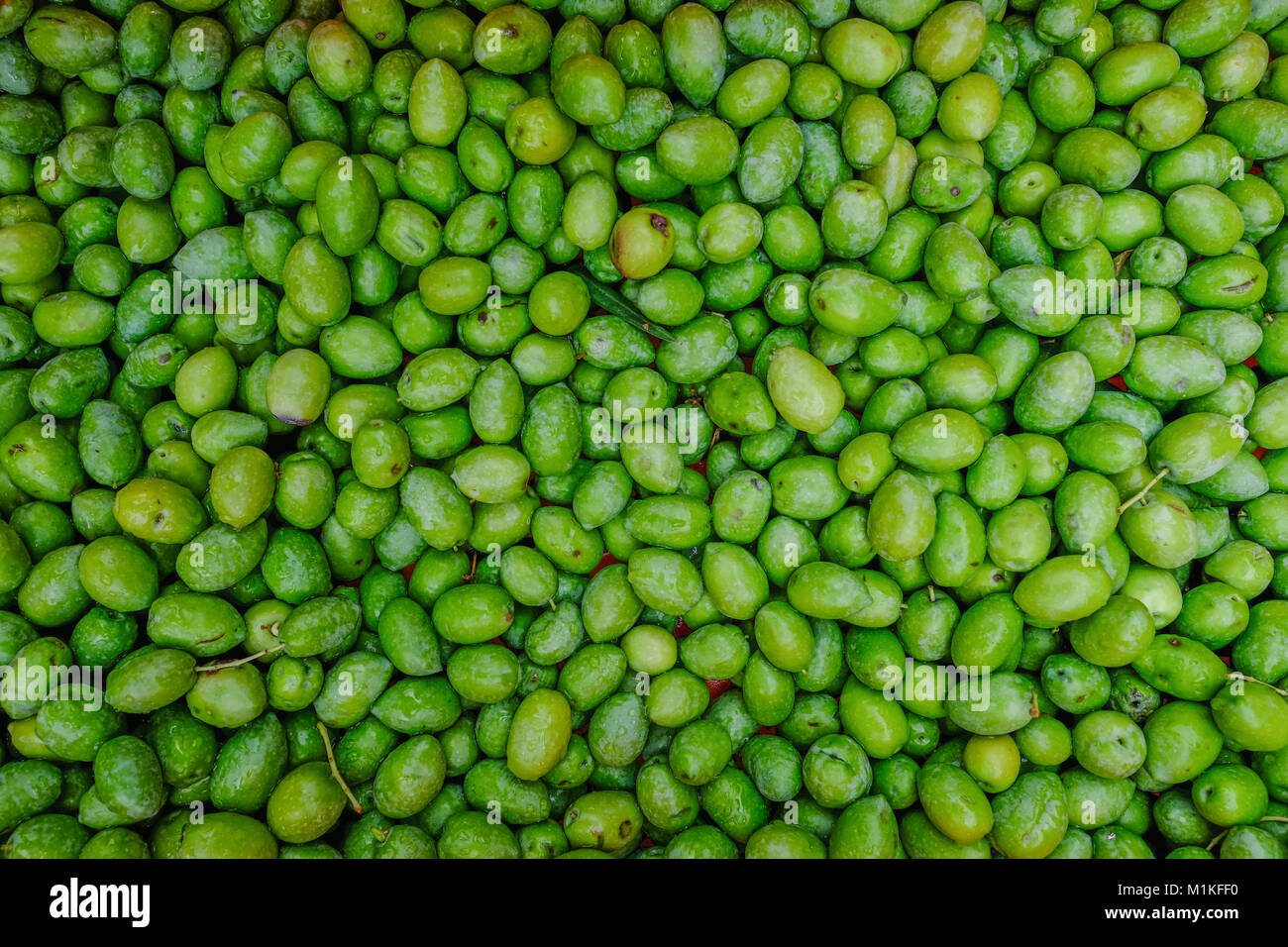 Selection fresh produce crunchy hi-res stock photography and images - Alamy