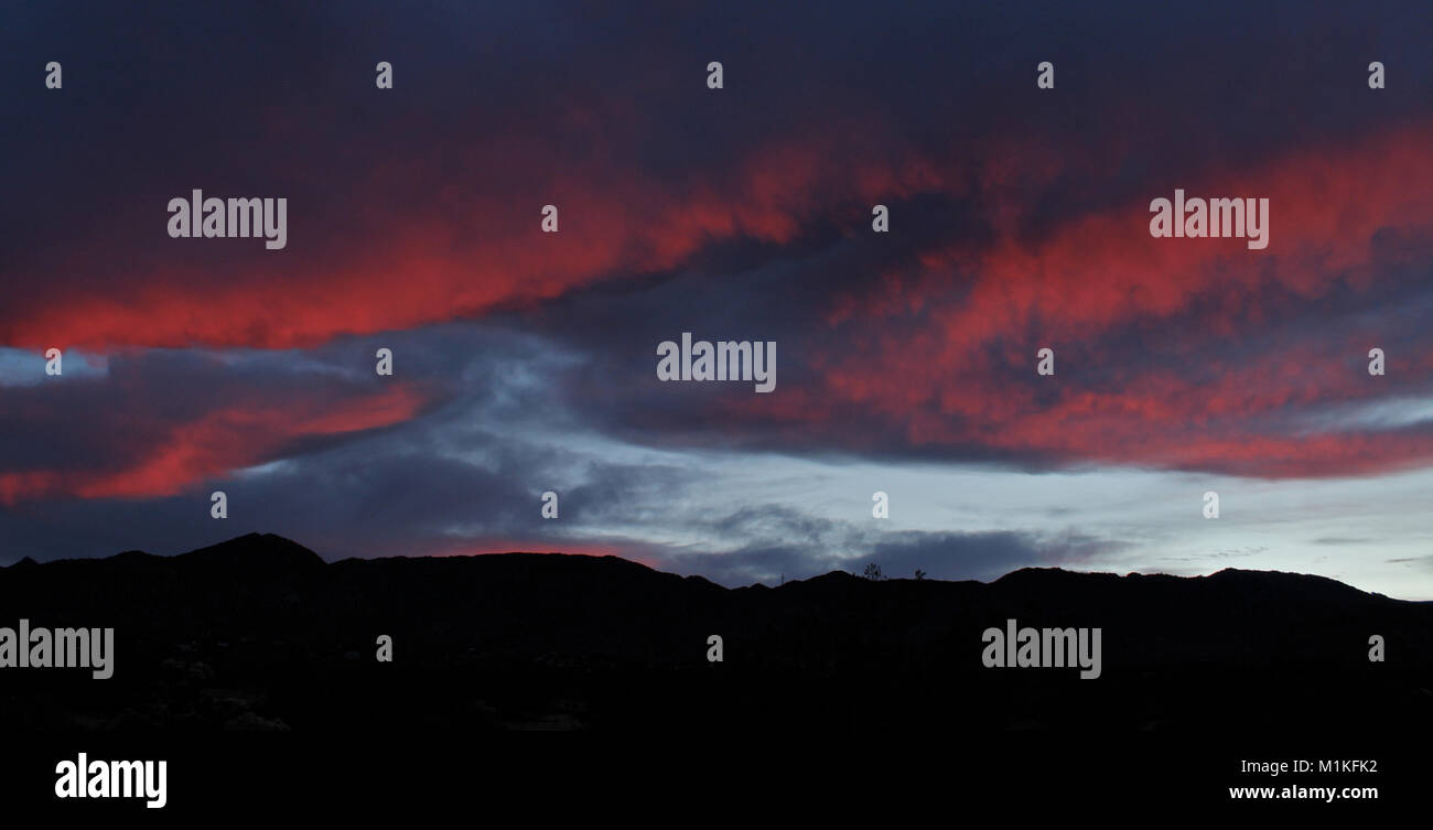 Sky over the tree hi-res stock photography and images - Alamy