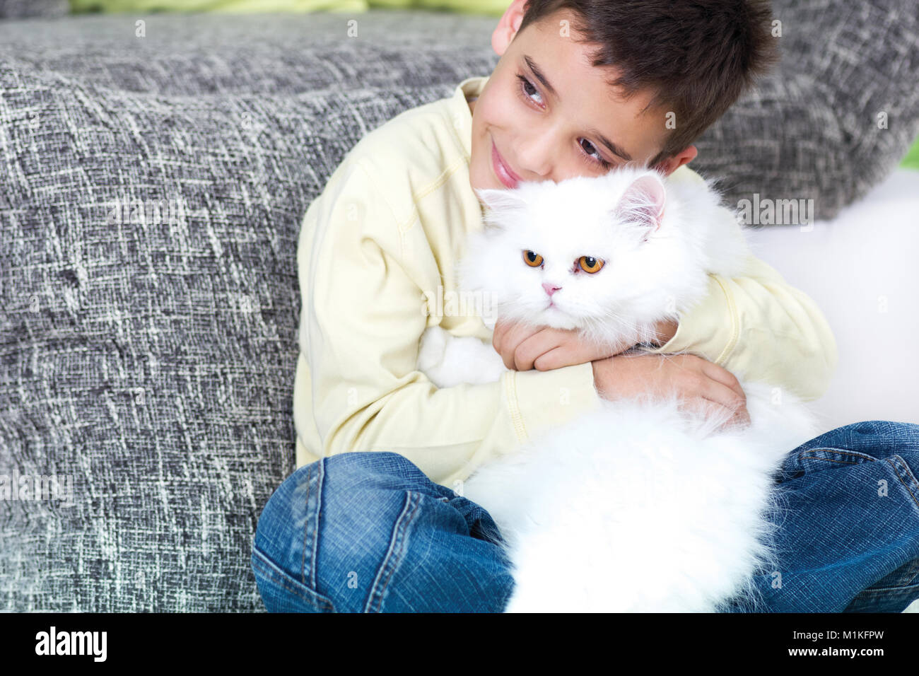 boy holds in the arms his cat Stock Photo - Alamy