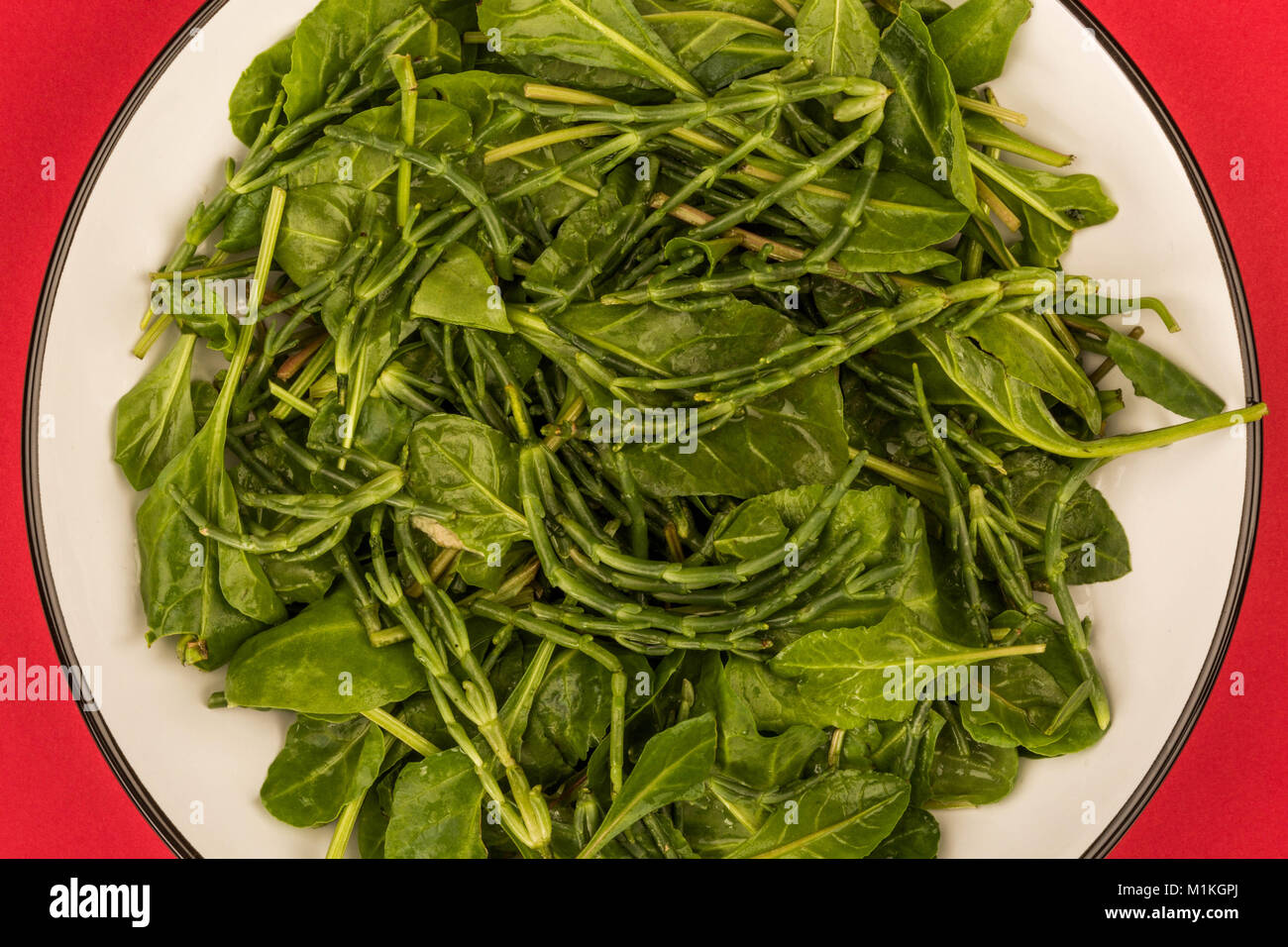 Red samphire hi-res stock photography and images - Alamy